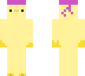 ninja duck | Minecraft Skin