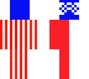 USA / Texas Flag | Minecraft Skin