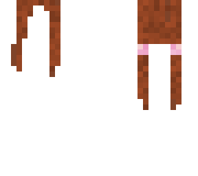Brown hair with two ponytails | Minecraft Skin