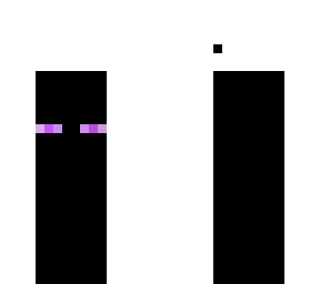 Enderman Cape | Minecraft Skins