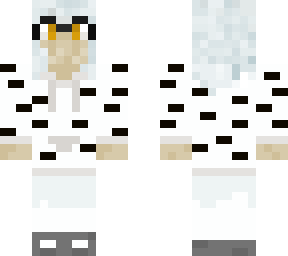 Snowy Owl Inspired Skin | Minecraft Skin