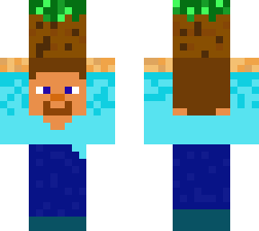 Steve Holding Block | Minecraft Skins