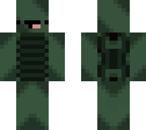 derp turtle | Minecraft Skin