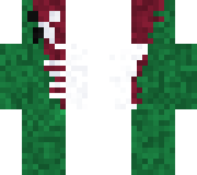 Zombie Skeleton Creeper | Minecraft Skin