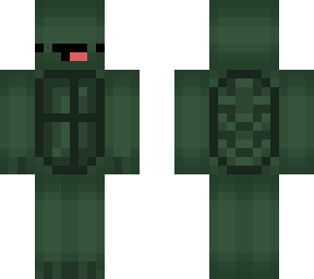 derp turtle | Minecraft Skin
