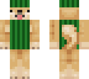 Melon doggo | Minecraft Skin