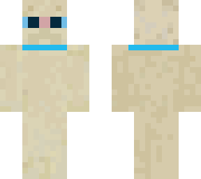 Persian Cat! | Minecraft Skin