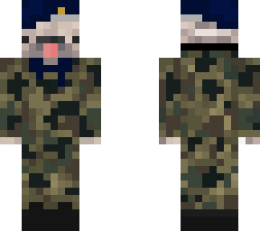 soldier pug | Minecraft Skin