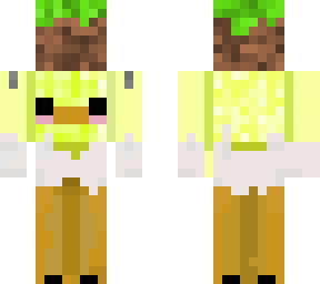 Blocky Ducky | Minecraft Skin