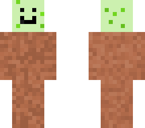 Kiwi | Minecraft Skins