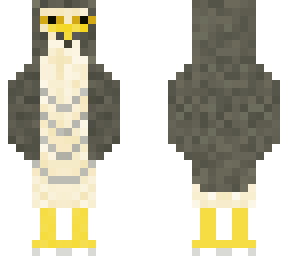 Peregrine Falcon | Minecraft Skin