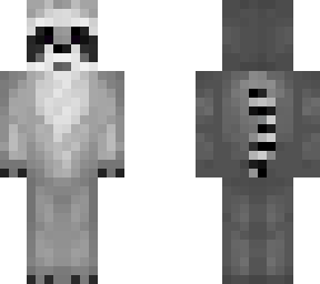 Raccoon | Minecraft Skin