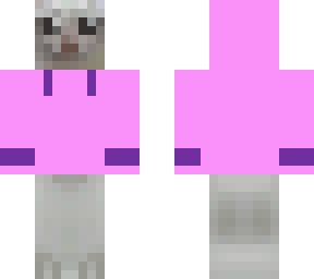Cat Meme | Minecraft Skins