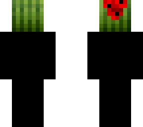 WaterMellon Head | Minecraft Skin