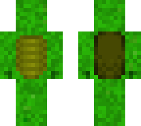 derp turtle | Minecraft Skin