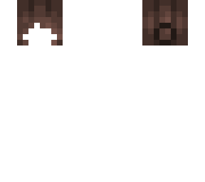 Bun Hair | Minecraft Skins