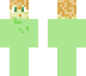 Guide Terraria Minecraft Skins