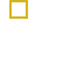 sonic ring | Minecraft Skin