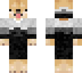 doge skin | Minecraft Skin