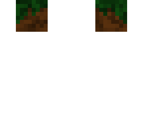 sideways dirt block head | Minecraft Skin
