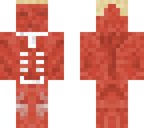 Muscular System | Minecraft Skin