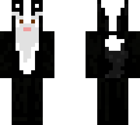 Skunk | Minecraft Skin