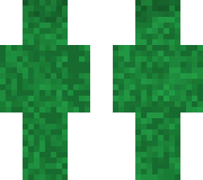 grass texture | Minecraft Skin