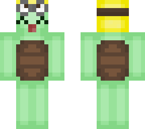 Pp Turtle | Minecraft Skin