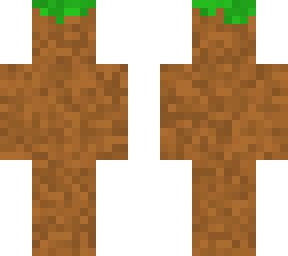Dirt | Minecraft Skins