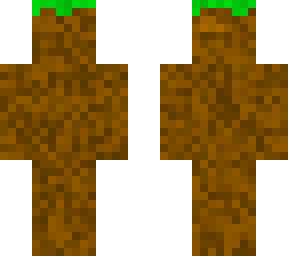 Dirt | Minecraft Skins
