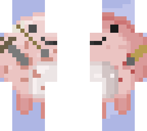 The shipwreck part 4 | Minecraft Skin