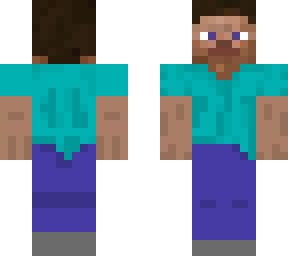 Steve Backwards | Minecraft Skin
