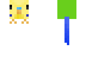 budgie | Minecraft Skin