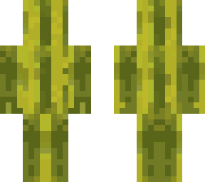 Melon | Minecraft Skin