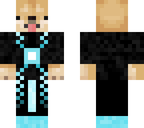 Doge Skin | Minecraft Skins
