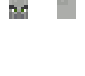 Evoker head | Minecraft Skin