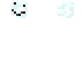 Snowy head | Minecraft Skin