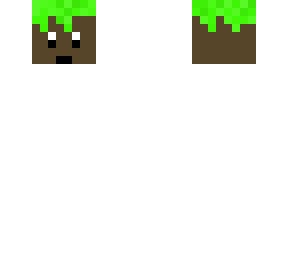 Florin | Minecraft Skin