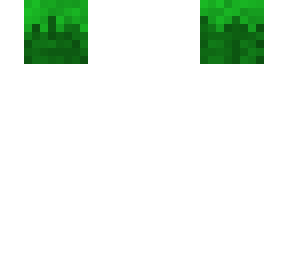 mini block minecraft | Minecraft Skins