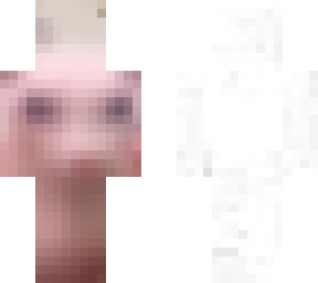 bingus | Minecraft Skin