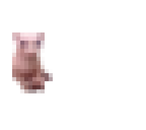 Bingus, my beloved | Minecraft Skin