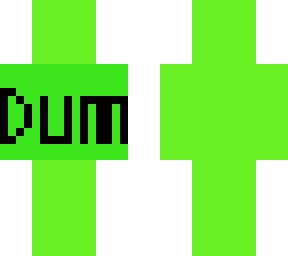 DUM | Minecraft Skin