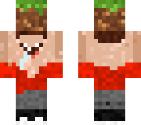 Dirt Found | Minecraft Skin