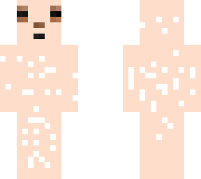 meme de perro | Minecraft Skin