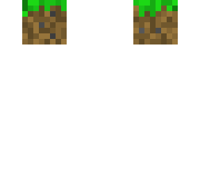 Carry Block Model | Minecraft Skin