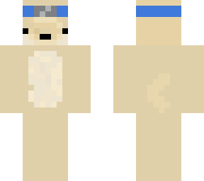 DOGE | Minecraft Skin