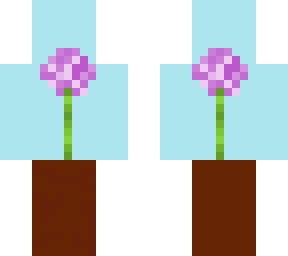 Allium Minecraft