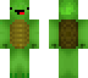 Derp Turtle | Minecraft Skin