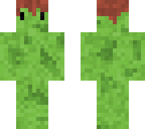 layered skins | Minecraft Skins