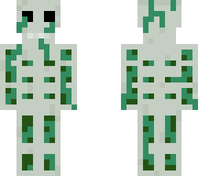 swamp skeleton | Minecraft Skin